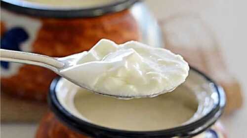Benefits of Curd eating in Summer Season, Why you should eat curd in ...