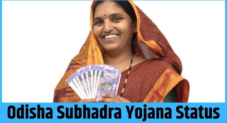 Odisha Subhadra Yojana Status Check Online 2024: Women Get Rs 50,000 ...